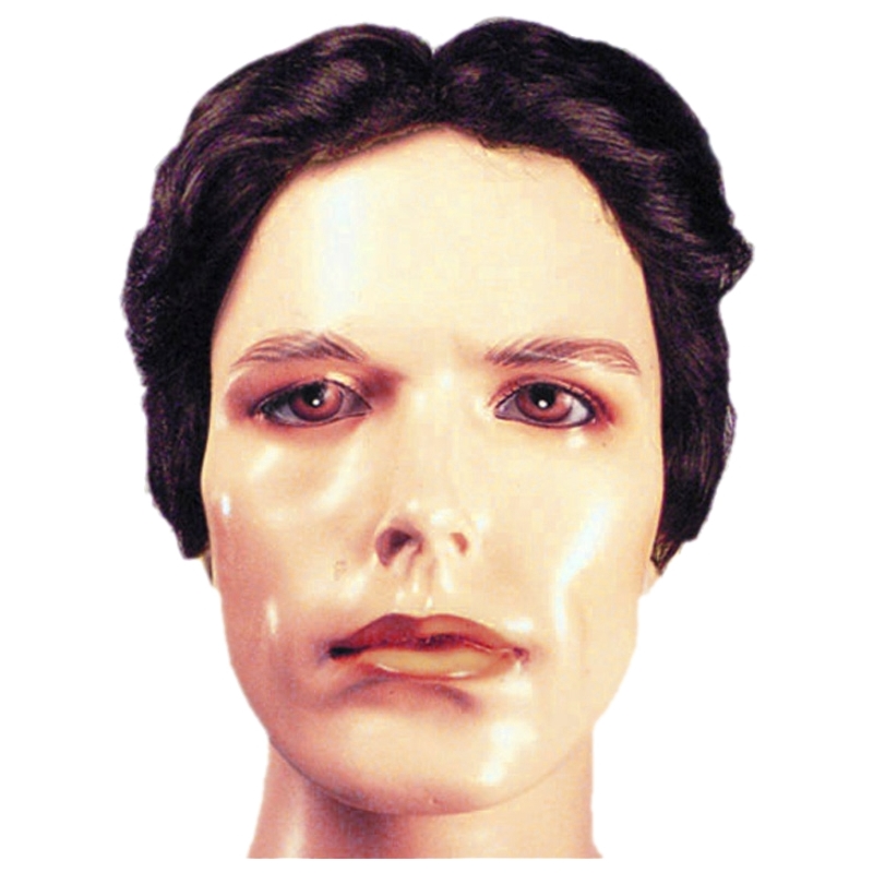 Mens Middle Part Wig | The Costumer