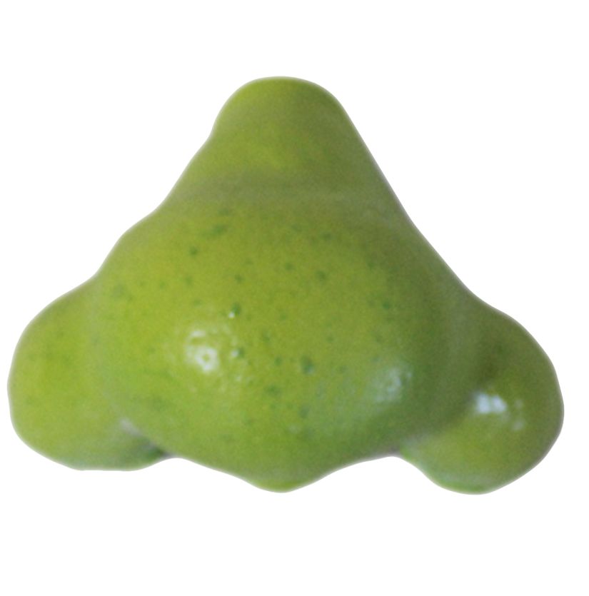 Male Ogre Nose Prosthetic | The Costumer