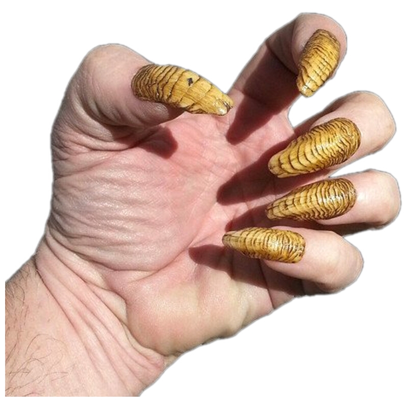 Creepy Claws Demoniac